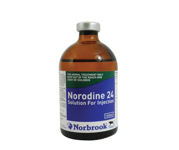 NORODINE 24 100ML – Egevet Kıbrıs Ltd.