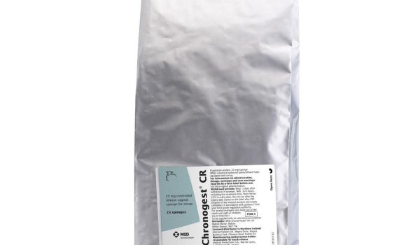 Ovine and Caprine Animals – Egevet Kıbrıs Ltd.